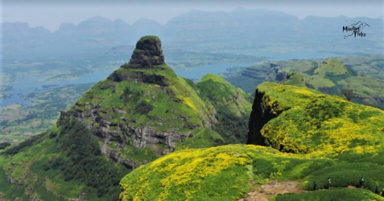 Ratangad Fort Trek | Best Season for Flowers - Mumbai Hikers