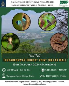 Hike Tungareshwar's Highest Point for Stunning Views